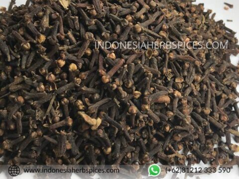 All You Need To Know About Clove Indonesia - Indonesia Herb & Spices ...